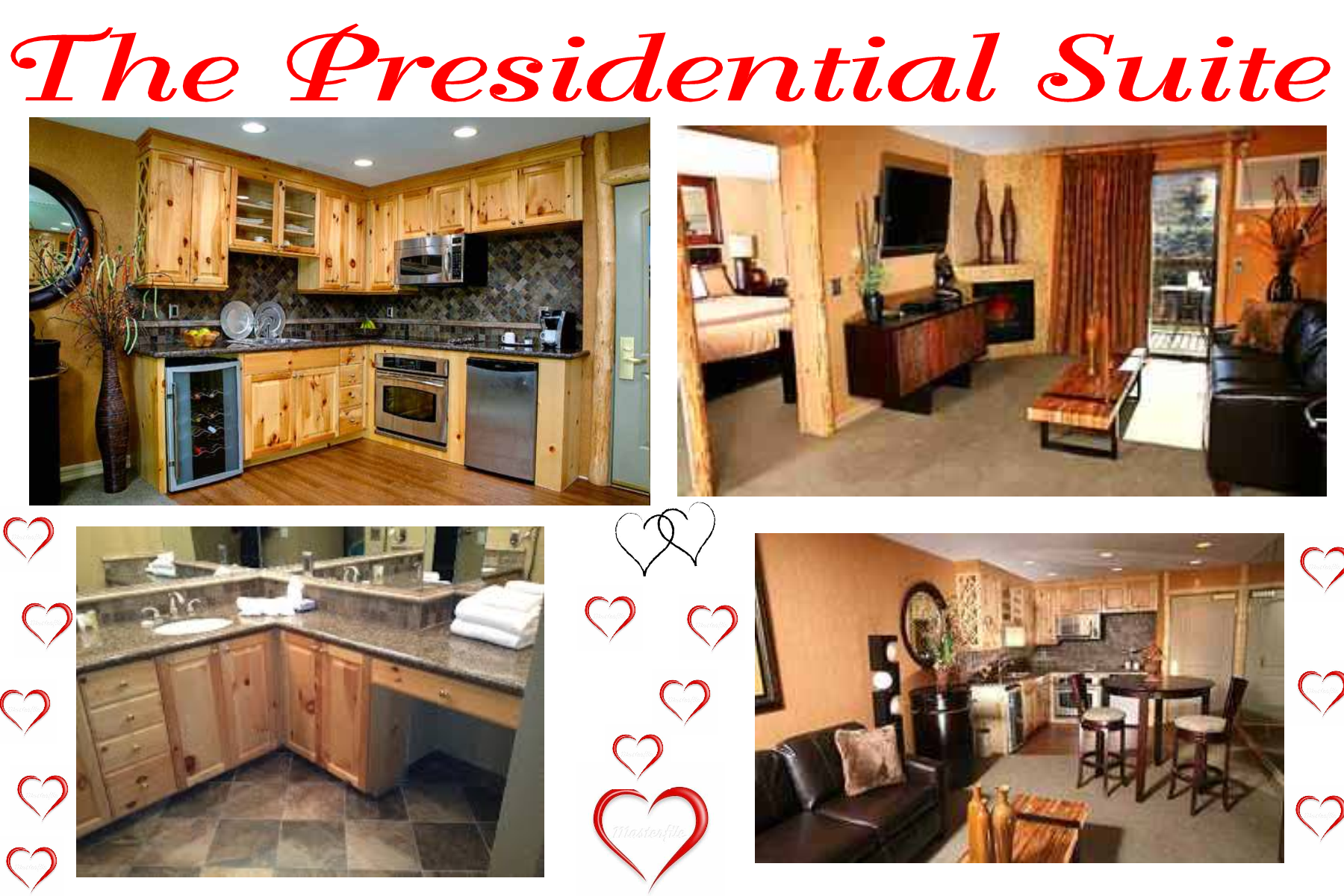 Presidential suite – Veterans In Politics International